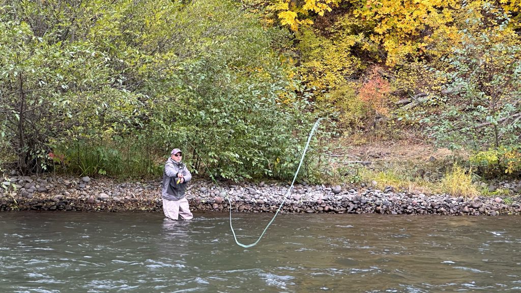 Fishing Rates - WiseGuides Fishing