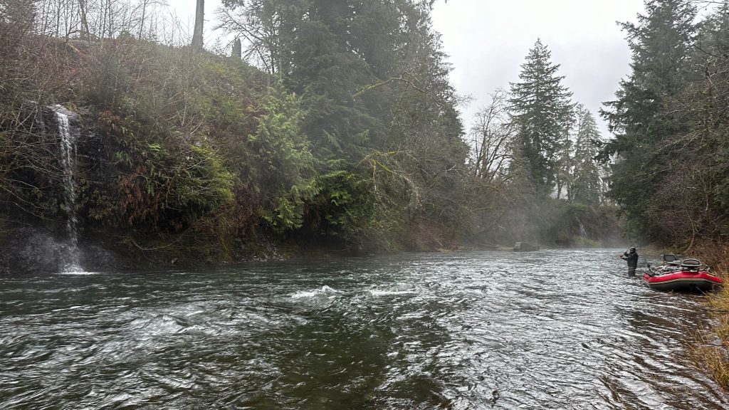 North Oregon Coast River Fishing | Wiseguides Fishing